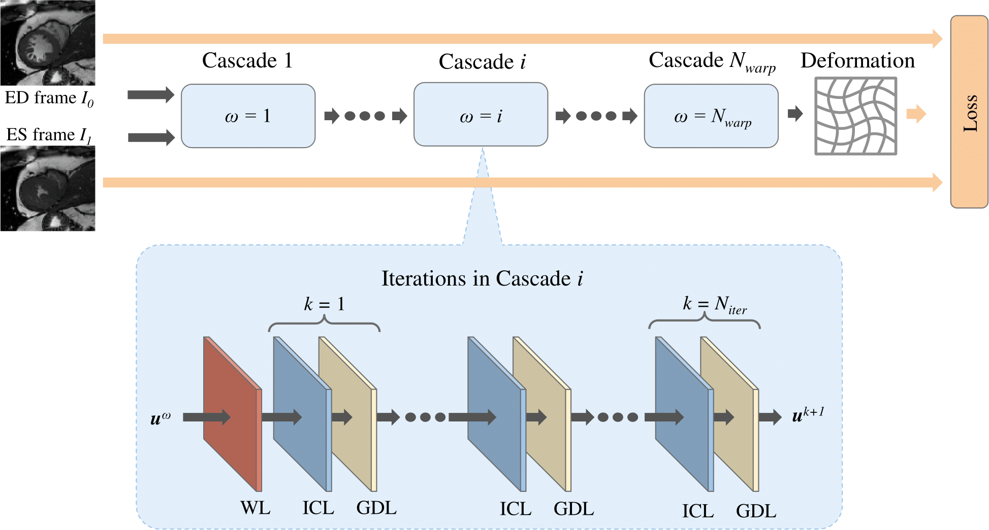 Learning a model-driven network for deformable image registration